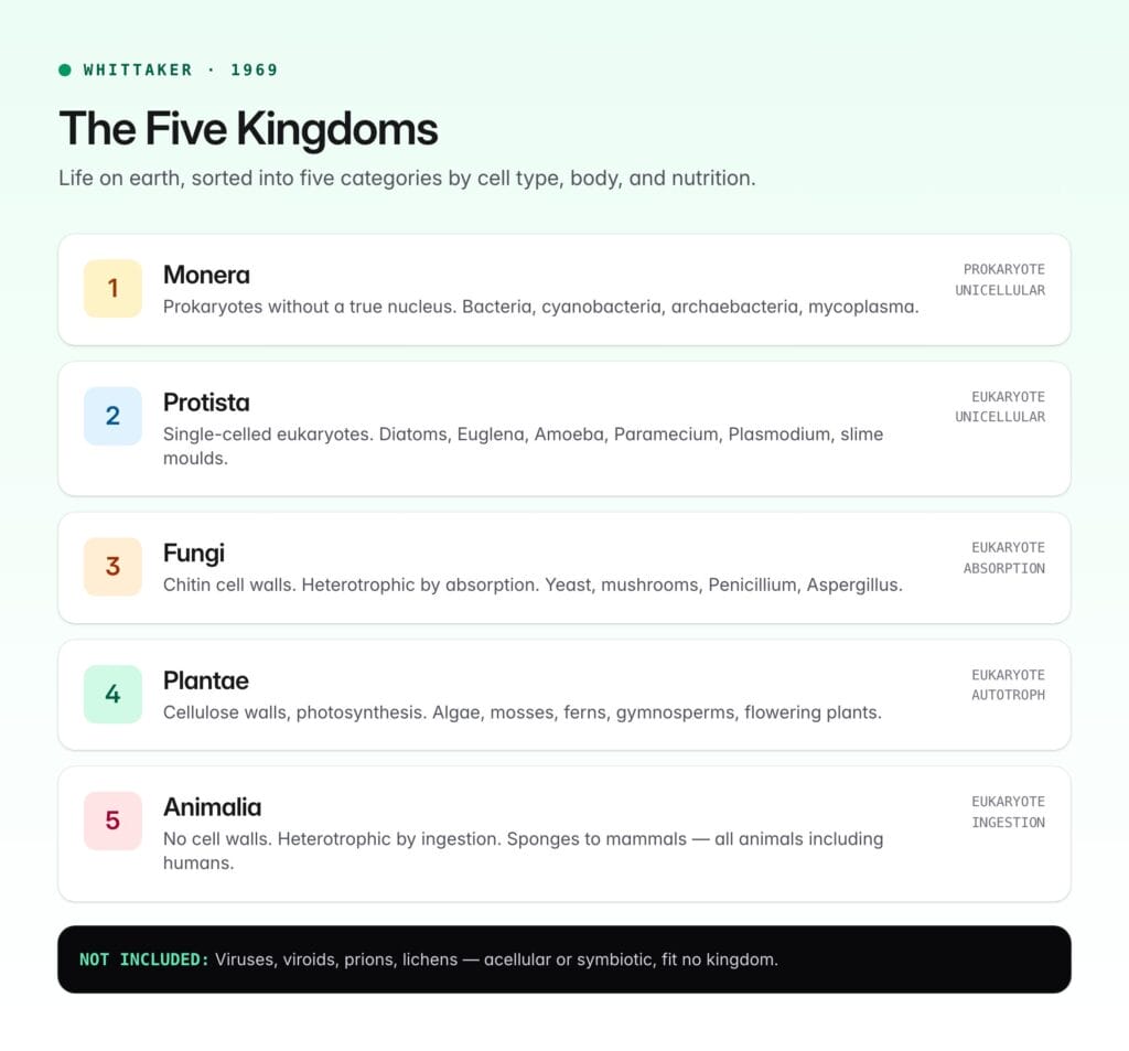 5 Kingdom Classification — Whittaker, Criteria, and UPSC Notes ...