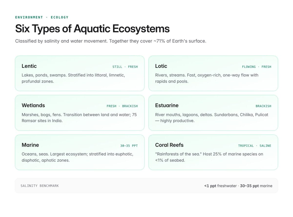 Aquatic Ecosystem: Types, Components, Zones & Significance (UPSC Notes ...