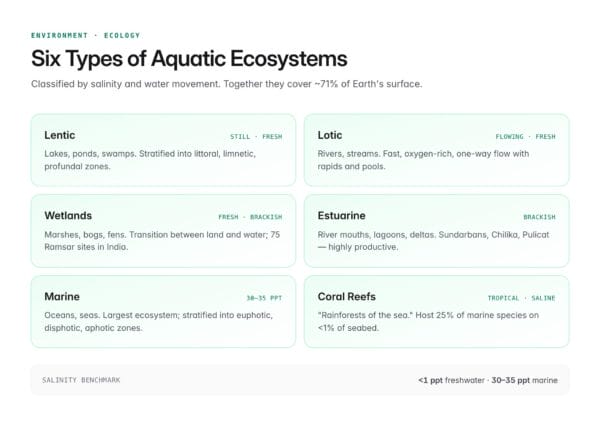 Aquatic Ecosystem: Types, Components, Zones & Significance (UPSC Notes ...