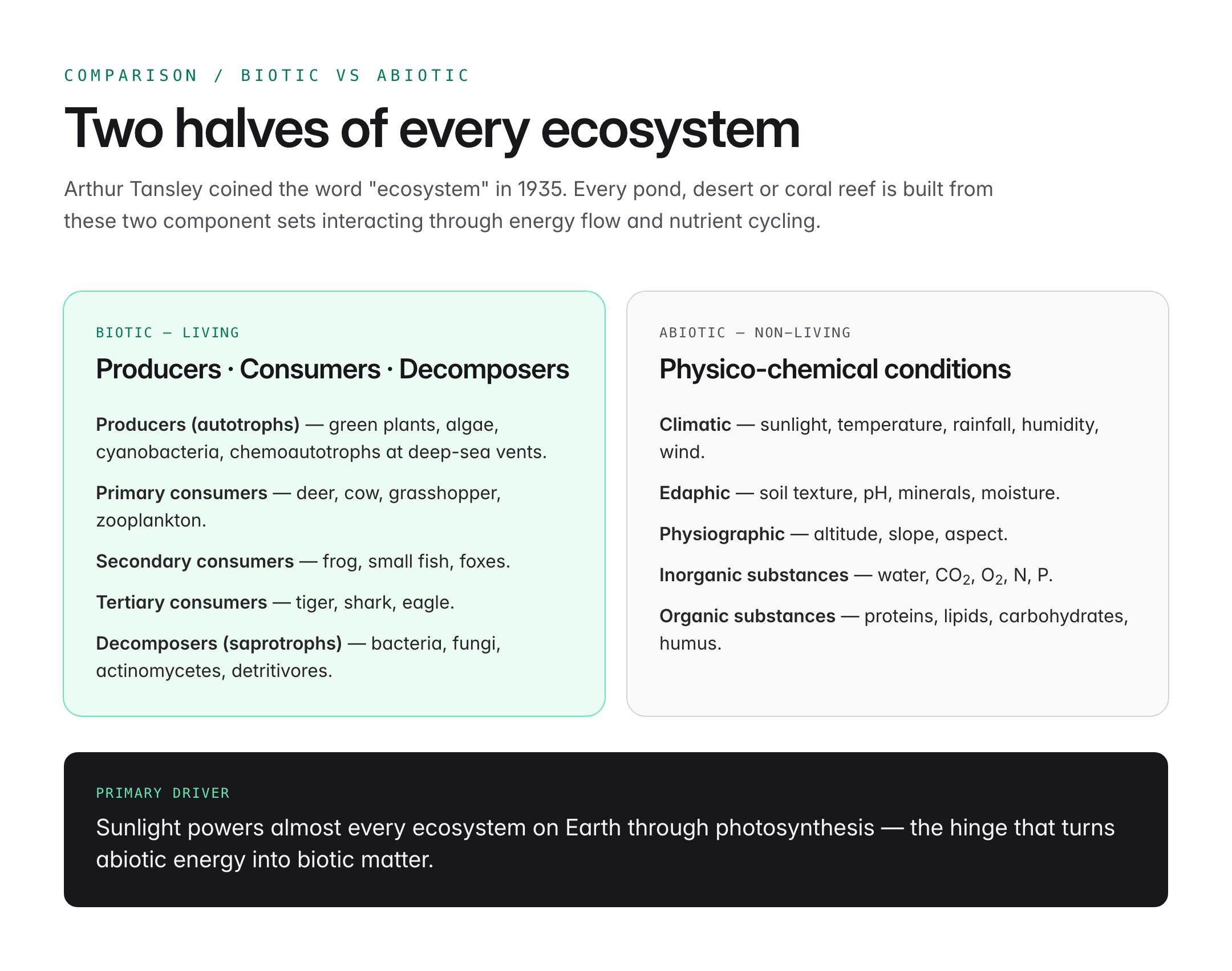 Components of Ecosystem: Biotic and Abiotic Explained - Anantam IAS