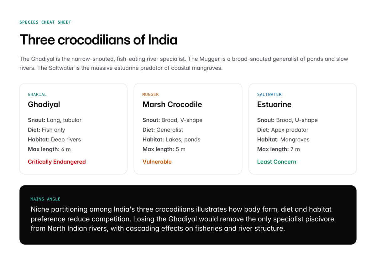 Gharial (Ghadiyal): Habitat, Conservation Status and Breeding Programme ...