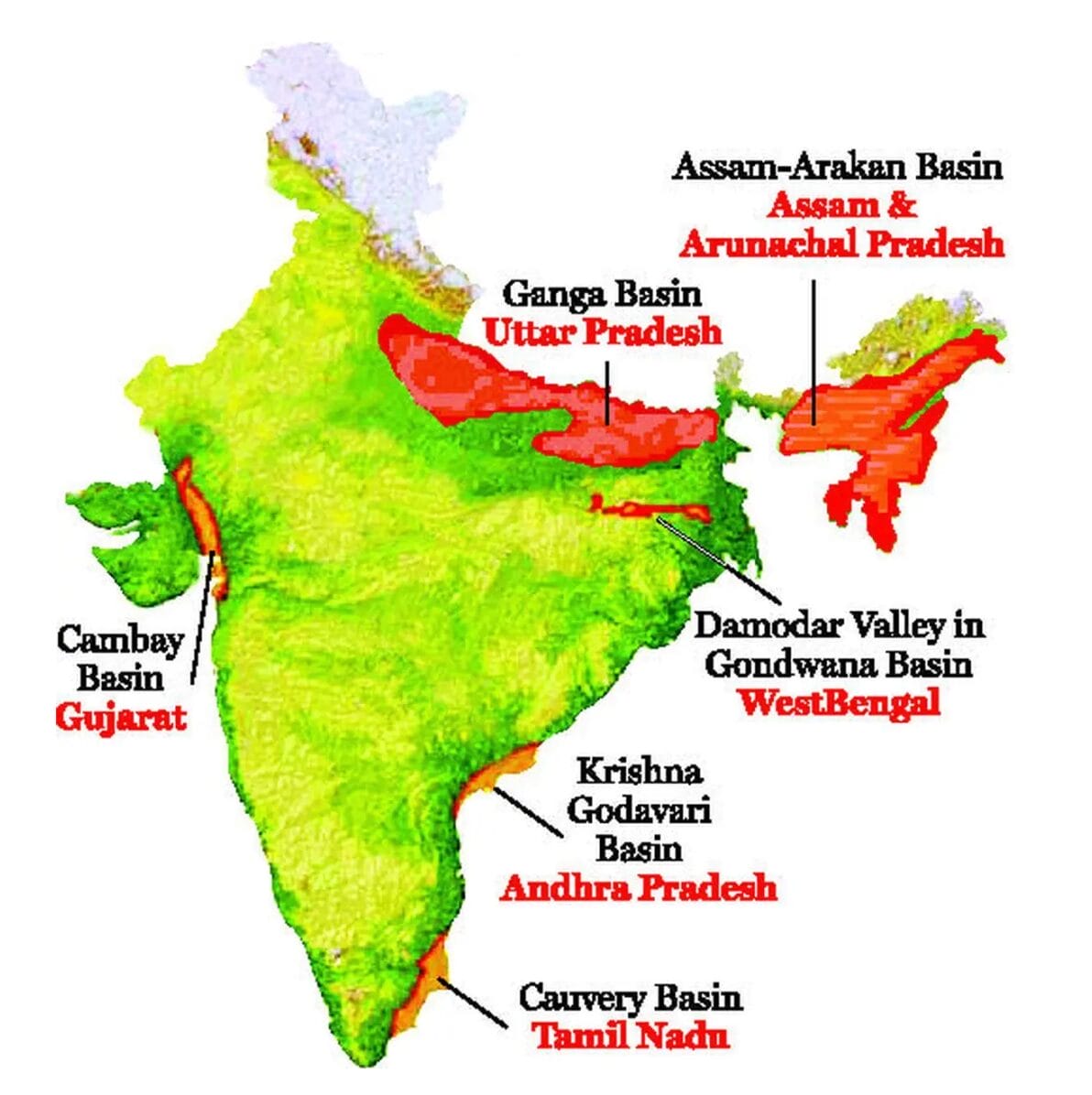 PNG vs LPG: Why is India pushing transition to Piped Natural Gas ...