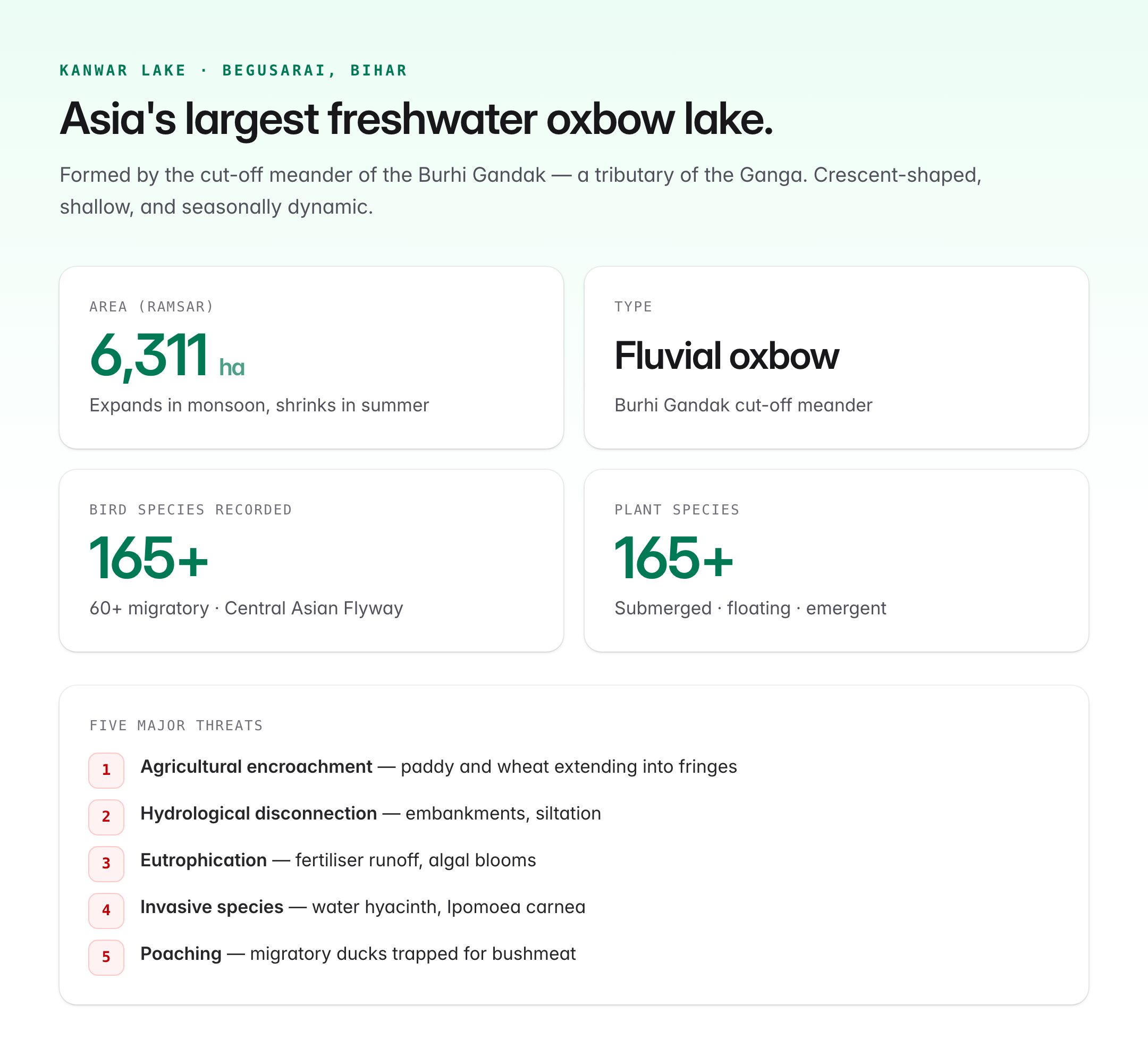 Kanwar Lake: Asia's Largest Freshwater Oxbow Lake and a Ramsar Wetland ...