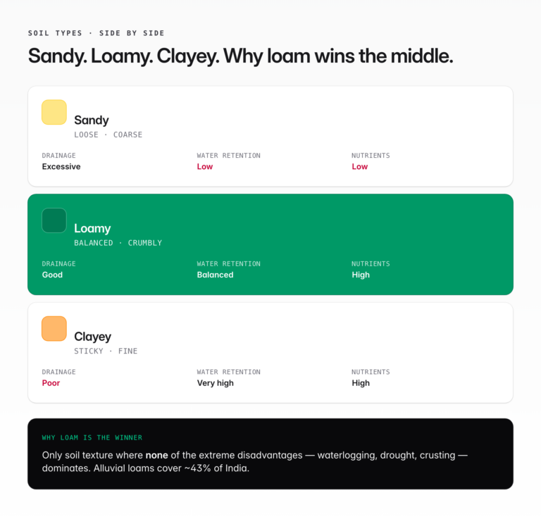 Loamy Soil: Composition, Characteristics, Crops, and Indian ...