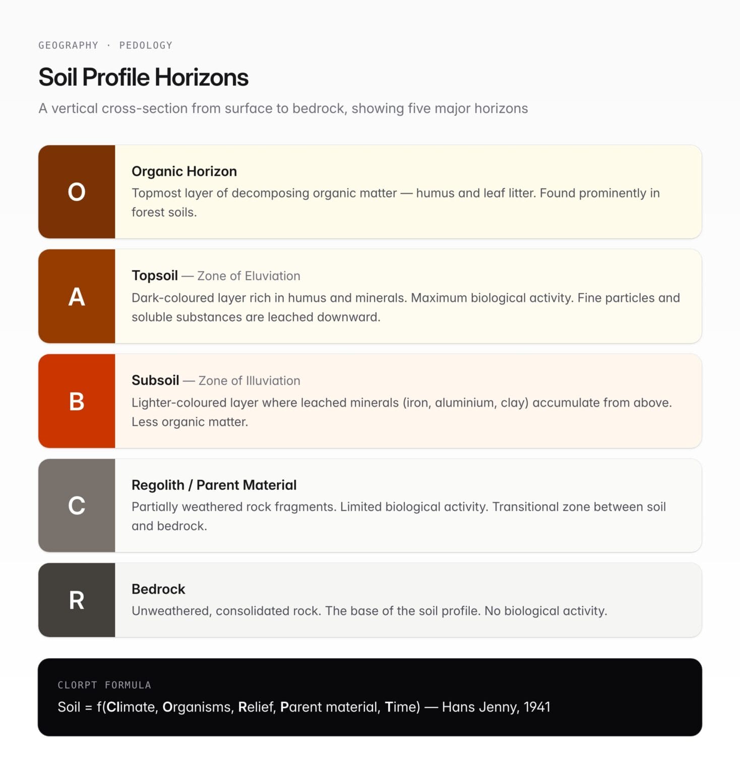 Soil Profile — Horizons, Formation Factors & Soil Types of India ...