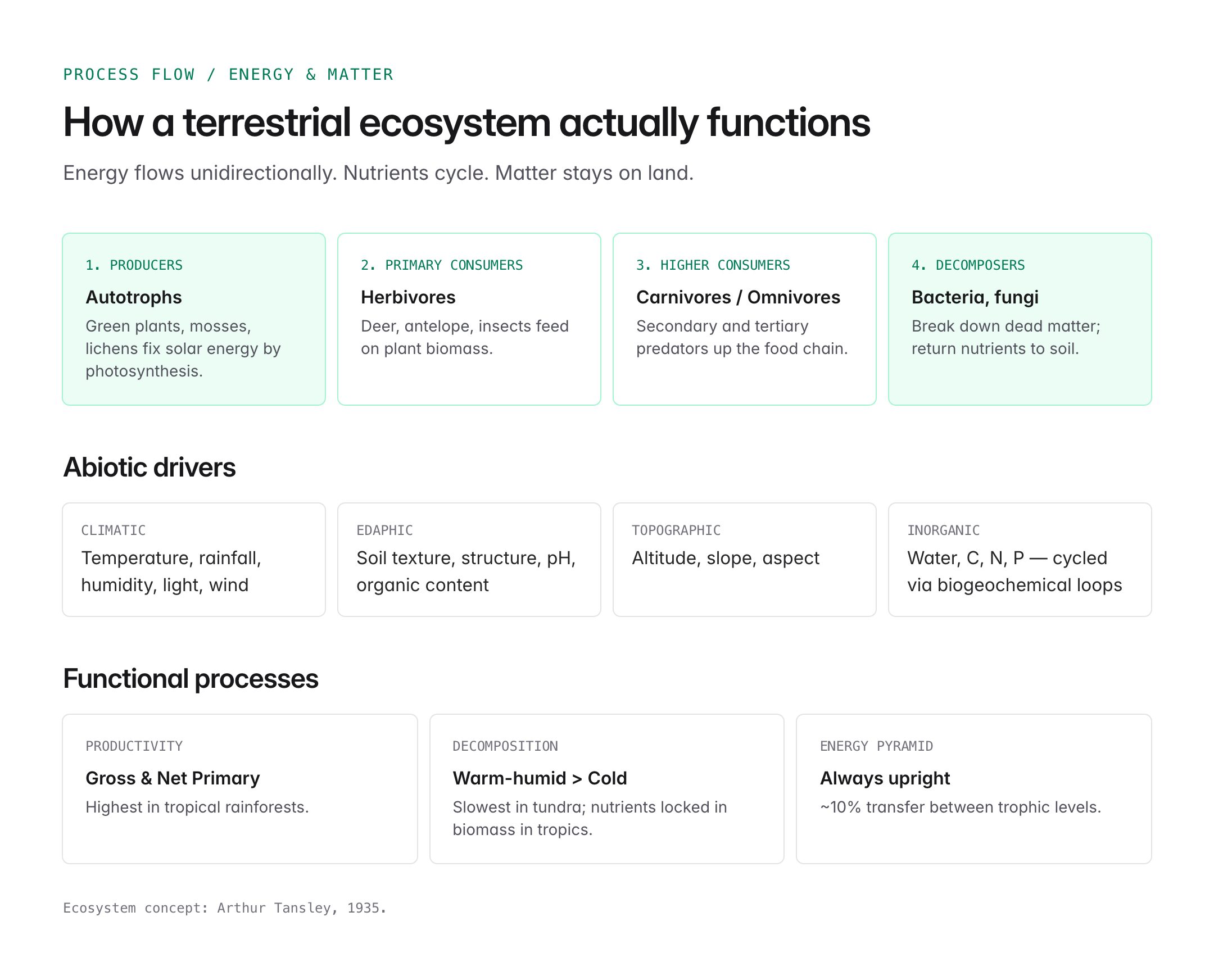 Terrestrial Ecosystem: Types, Components, and Ecological Significance ...
