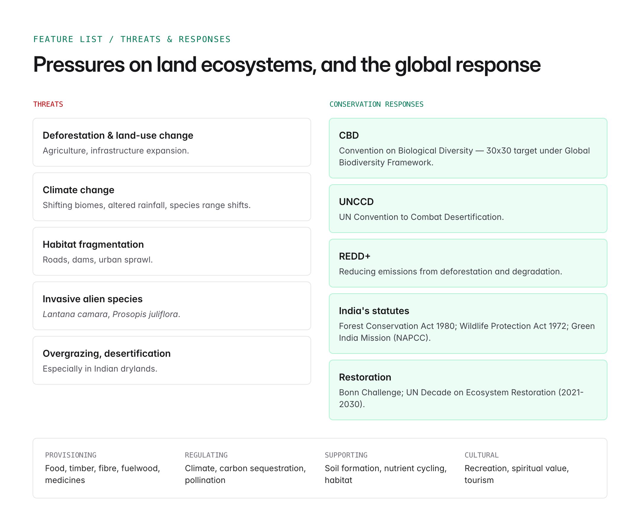 Terrestrial Ecosystem: Types, Components, and Ecological Significance ...