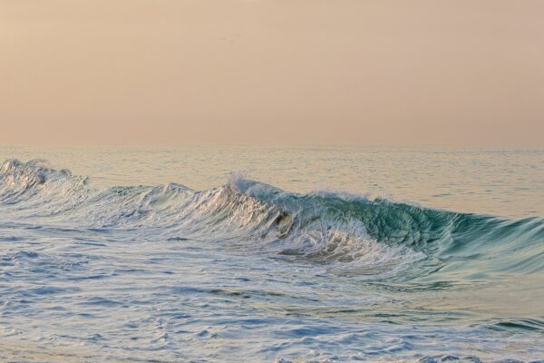 Blue Flag Beaches in India 2026: Full List, Criteria and Significance ...