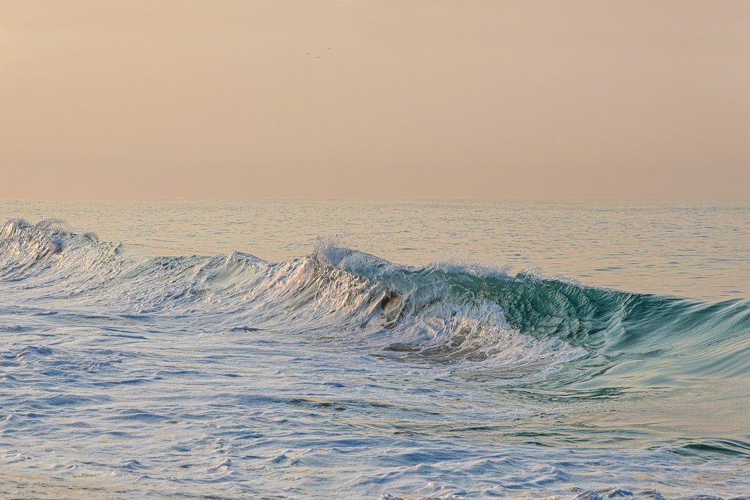 Blue Flag Beaches in India 2026: Full List, Criteria and Significance ...