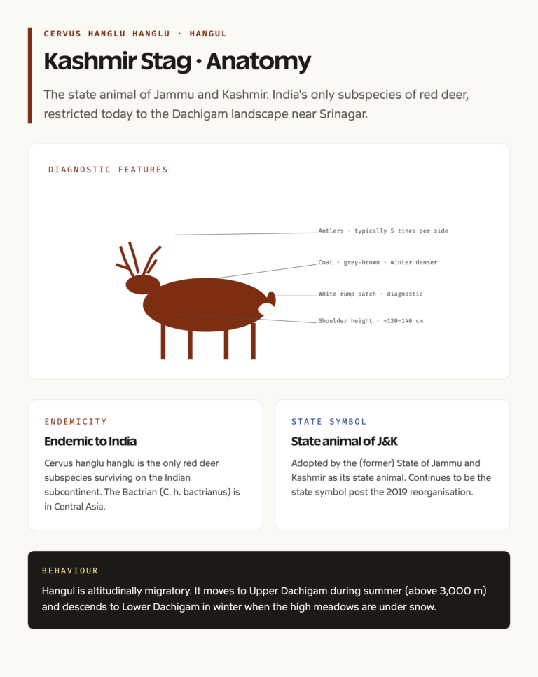 Thermal Pollution — Causes, Effects on Aquatic Life & UPSC Environment ...