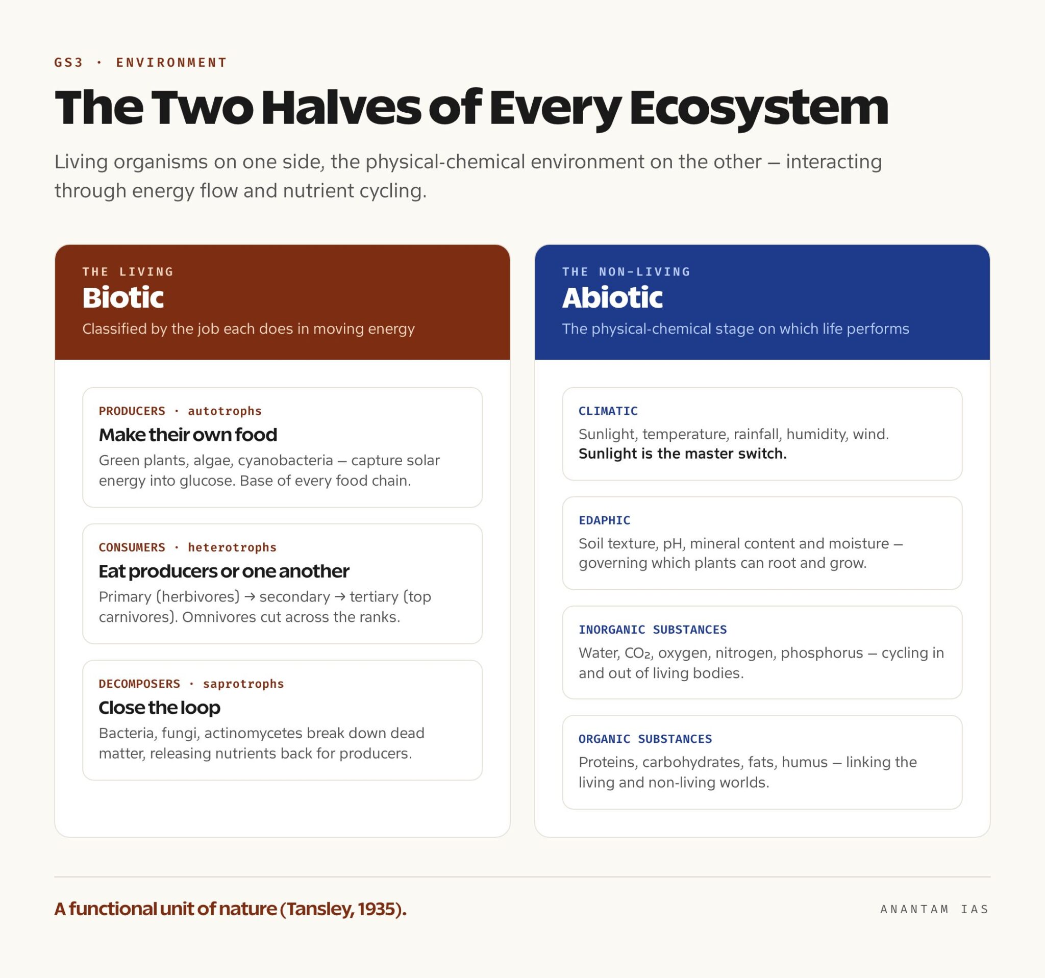 Components of Ecosystem: Biotic and Abiotic Explained - Anantam IAS