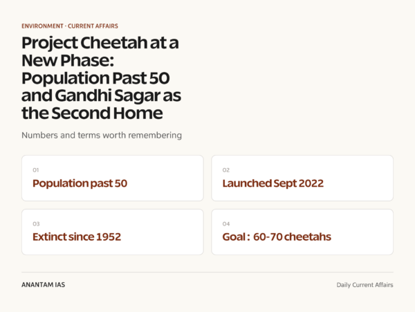 Project Cheetah at a New Phase: Population Past 50 and Gandhi Sagar as ...
