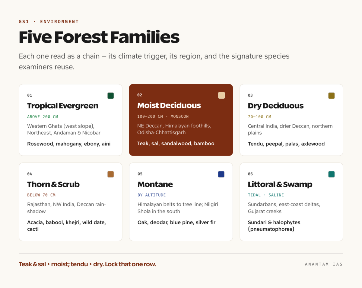 Types of Forests in India: Classification, Features and Distribution ...